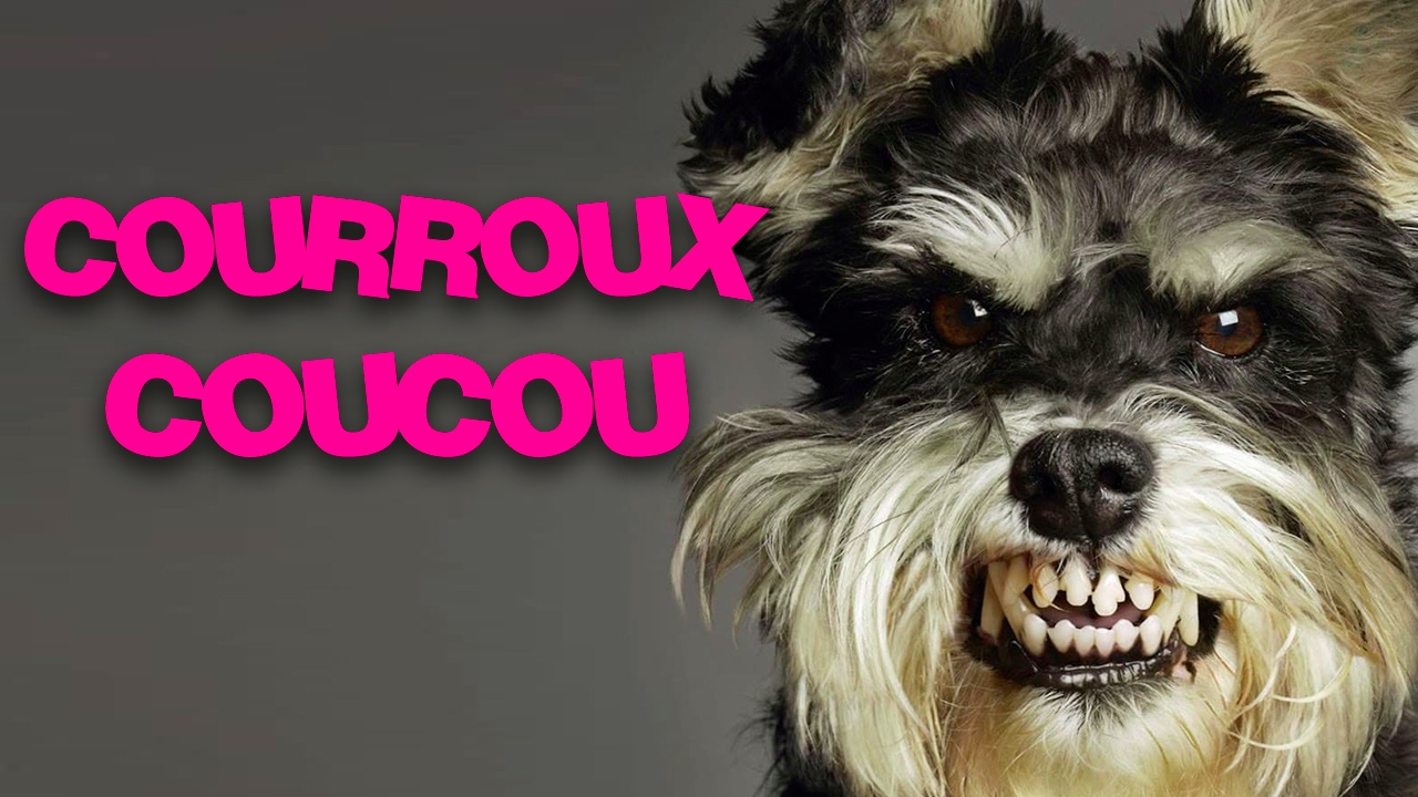 COURROUX COUCOU – Nouveau podcast énervé | ODiL